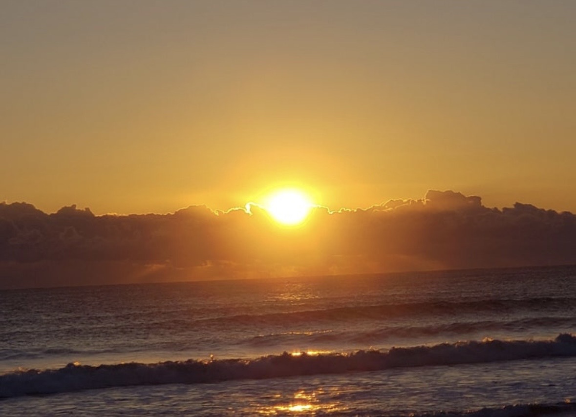 心書Vol.1210「踊」 | F SPACE inc. Ofiicial Web Site