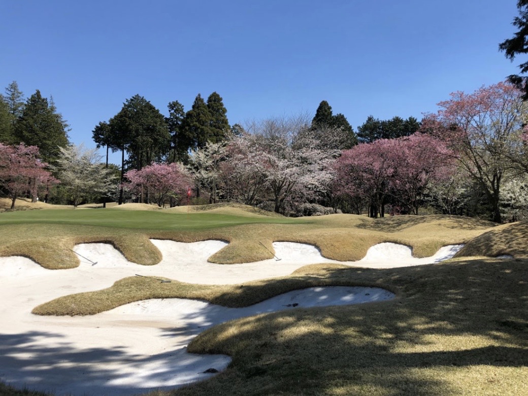 心書Vol.1309「認」 | F SPACE inc. Ofiicial Web Site